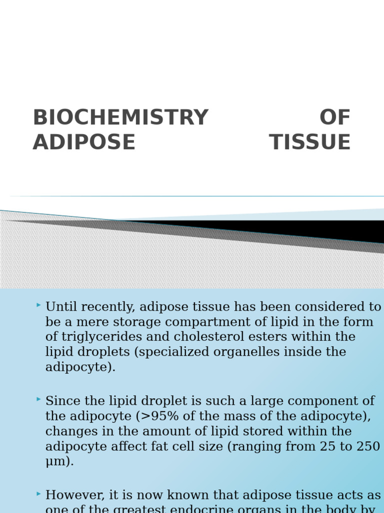 421 Adipose Tissues-1 | PDF | Adipose Tissue | Adipocyte