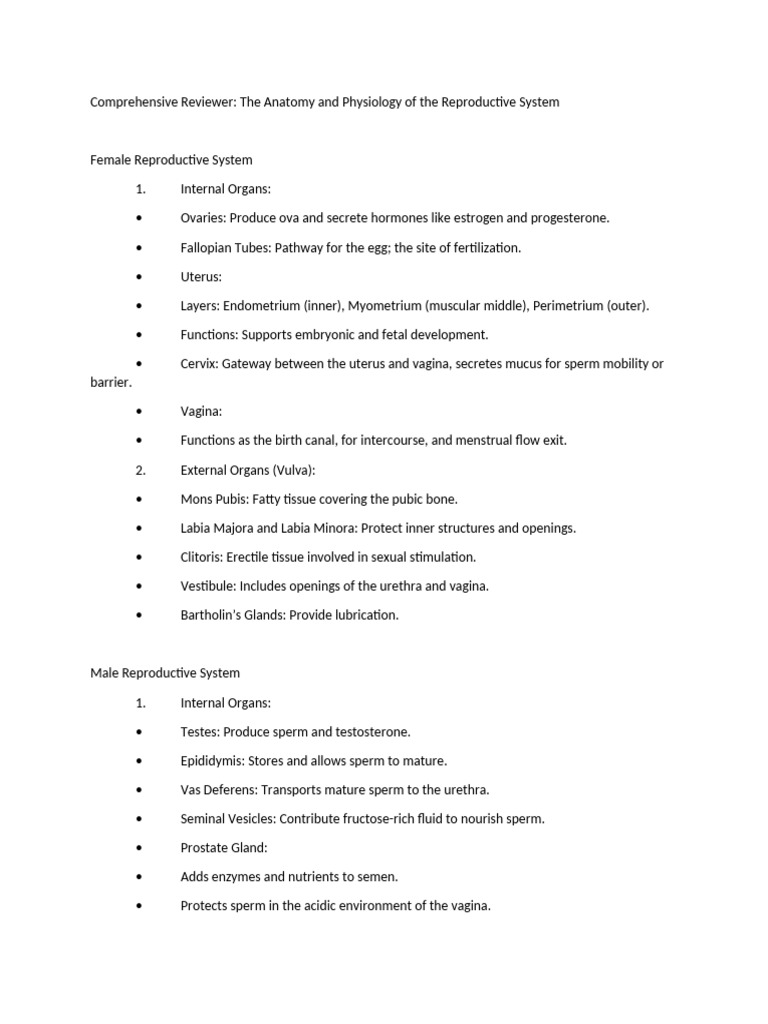 anatomy | PDF | Menstrual Cycle | Reproductive System