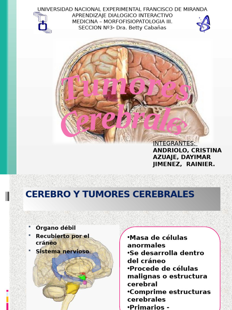 tumores cerebrales | PDF | Metástasis | Tumor cerebral