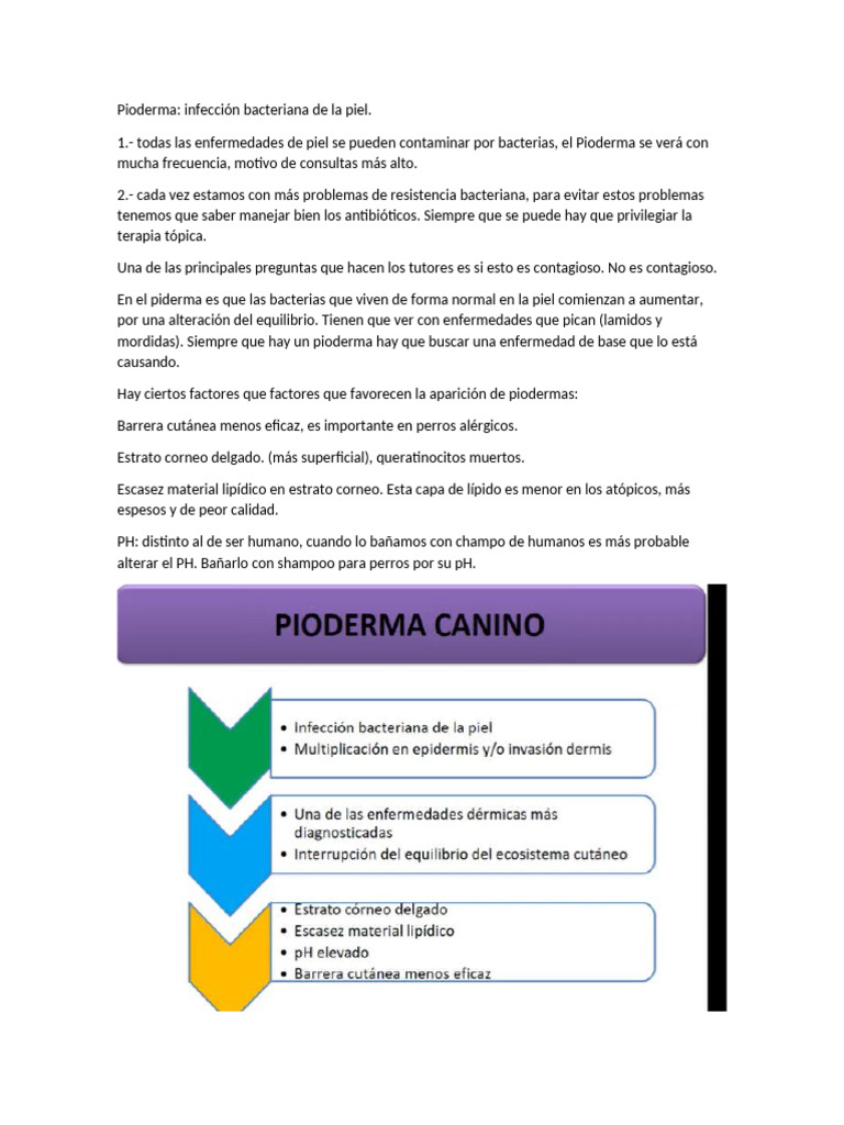 Pioderma: Infección Bacteriana Canina | PDF | Alergia | Resistencia ...