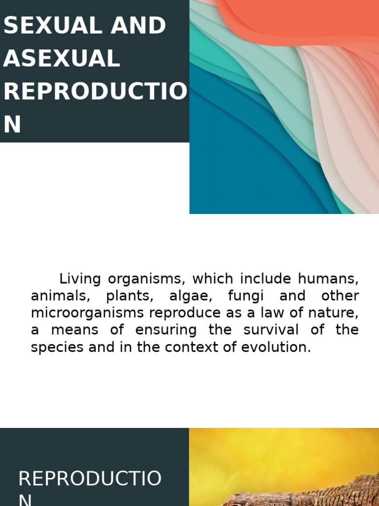 Sexual And-Asexual Reproduction | PDF | Sexual Reproduction | Flowers