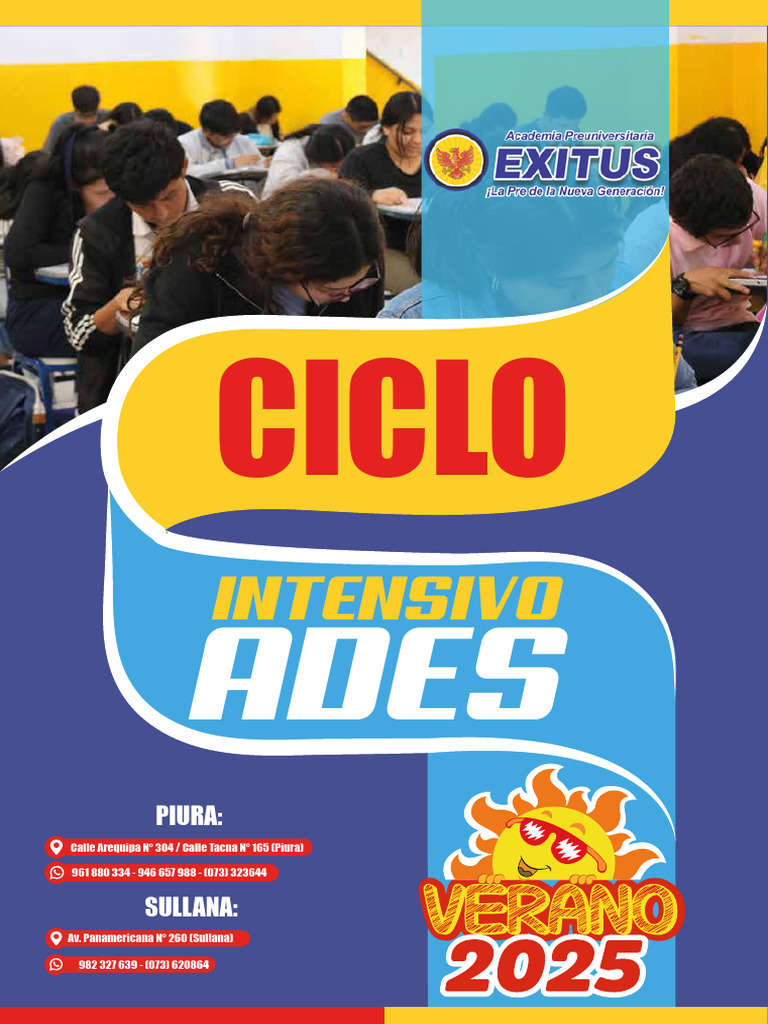 Ciclo Intensivo Ades 2024 | PDF