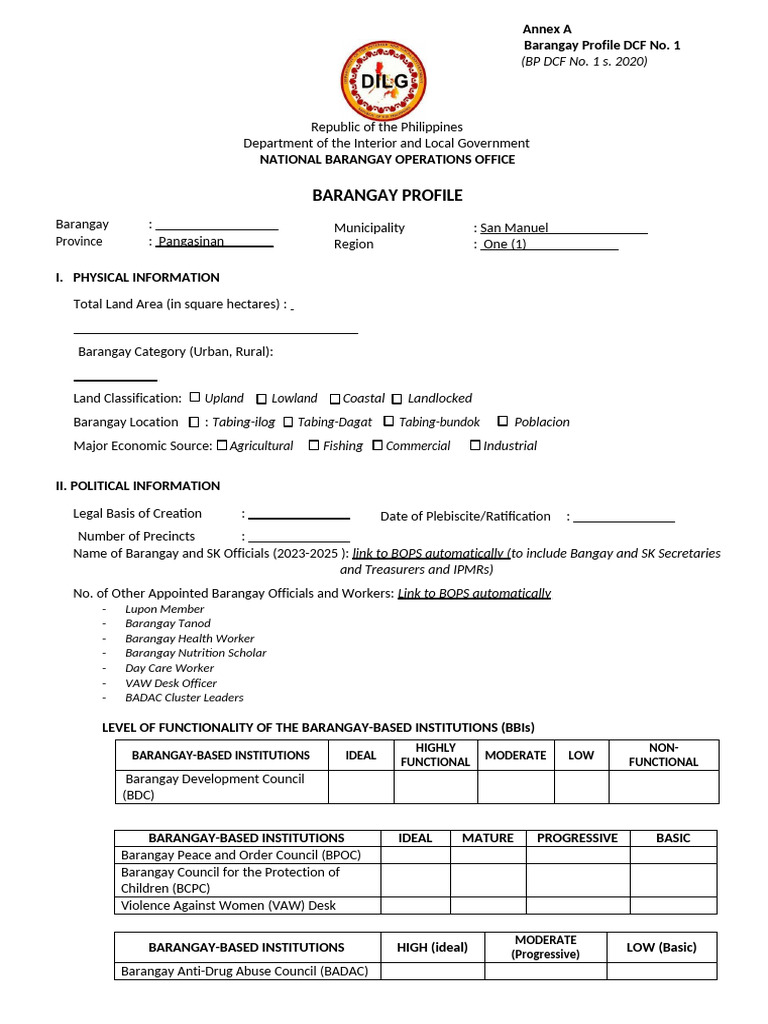 Barangay Profile 2025 UPDATED | PDF