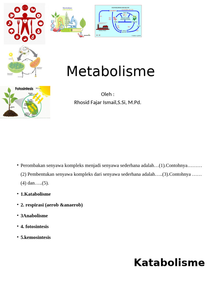 Review Soal Metabolisme | PDF