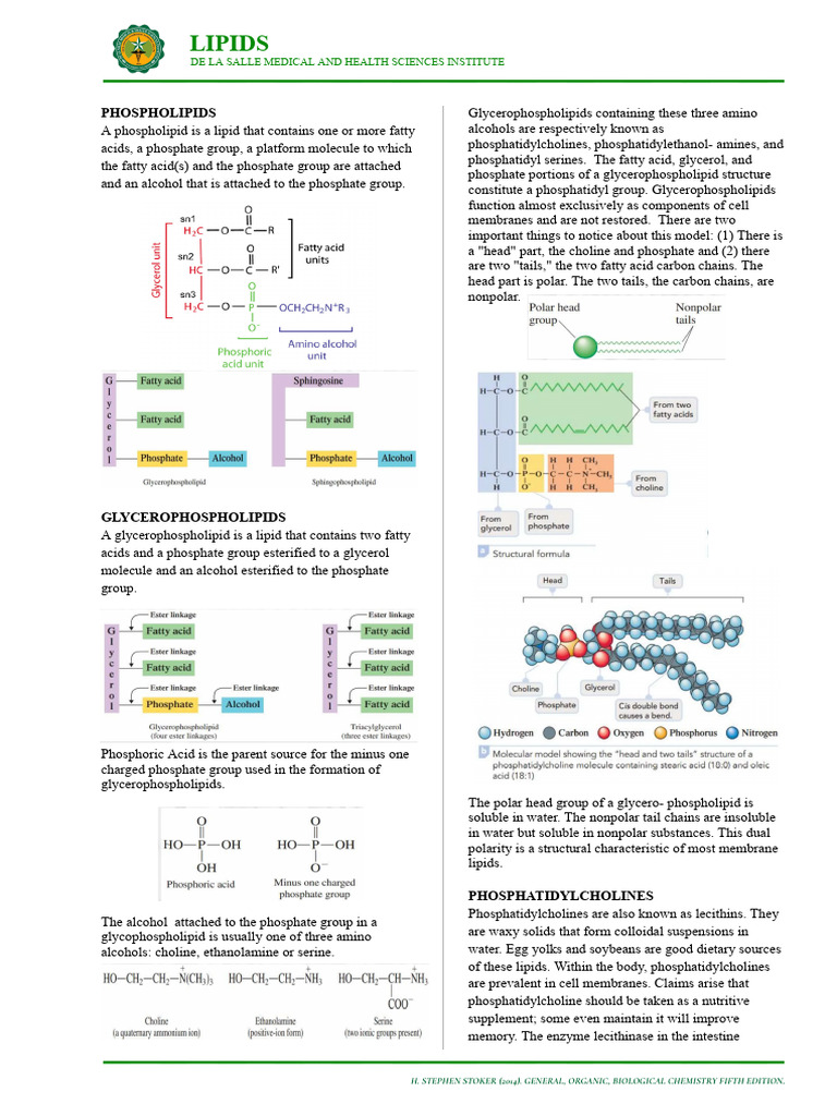 PHOSPHOLIPIDS | PDF | Lipid | Cholesterol