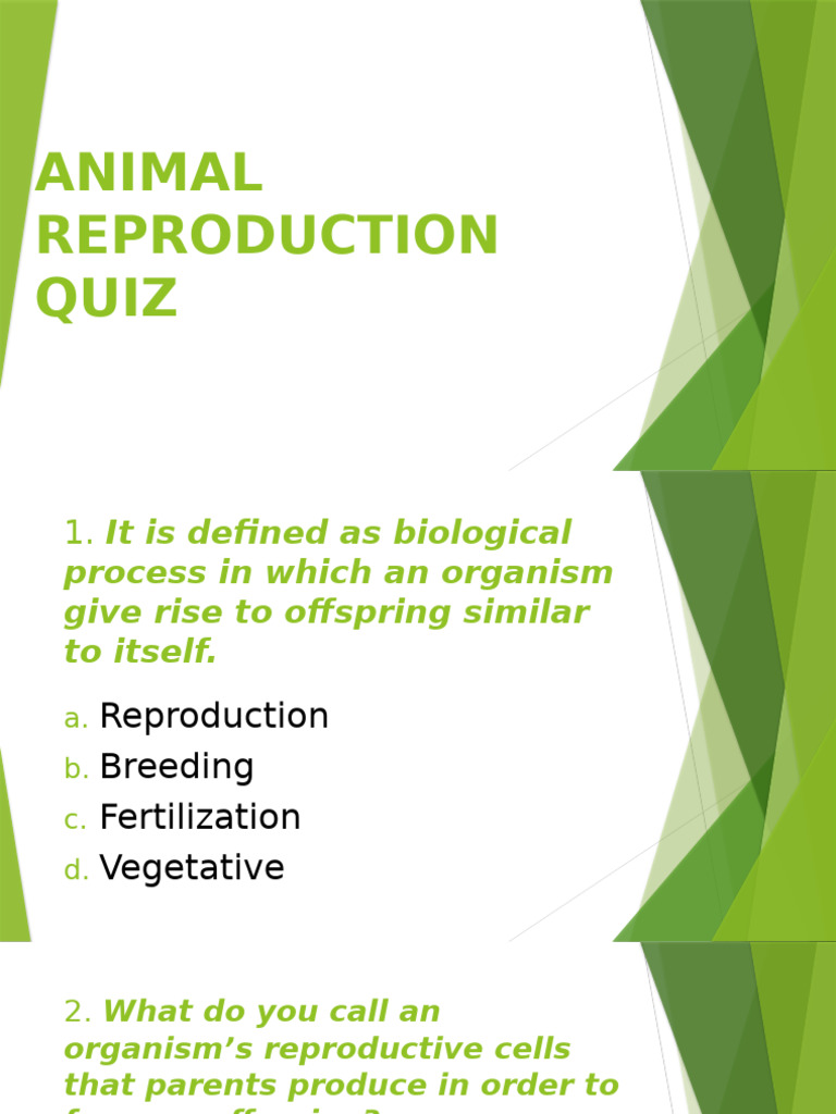 Animal Reproduction Quiz | PDF