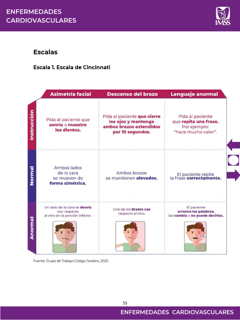 Escalas. EVC. | PDF | Cuidado de la salud | Medicina CLINICA