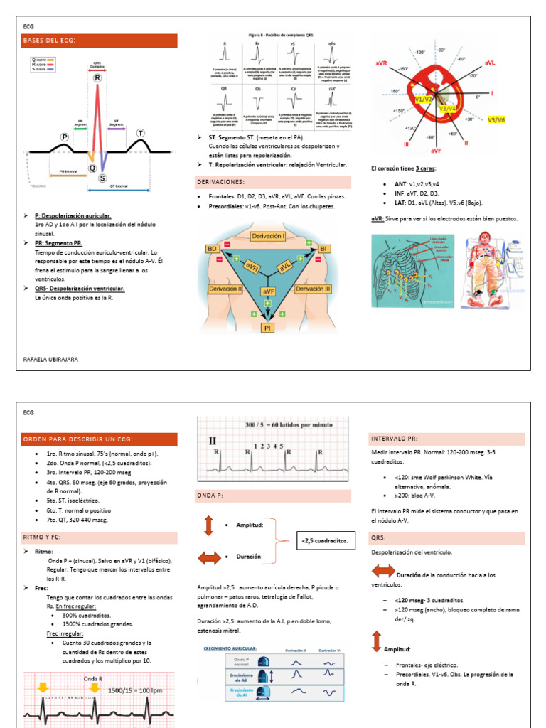 Interpretación del ECG: Guía Completa | PDF | Medicina Interna ...