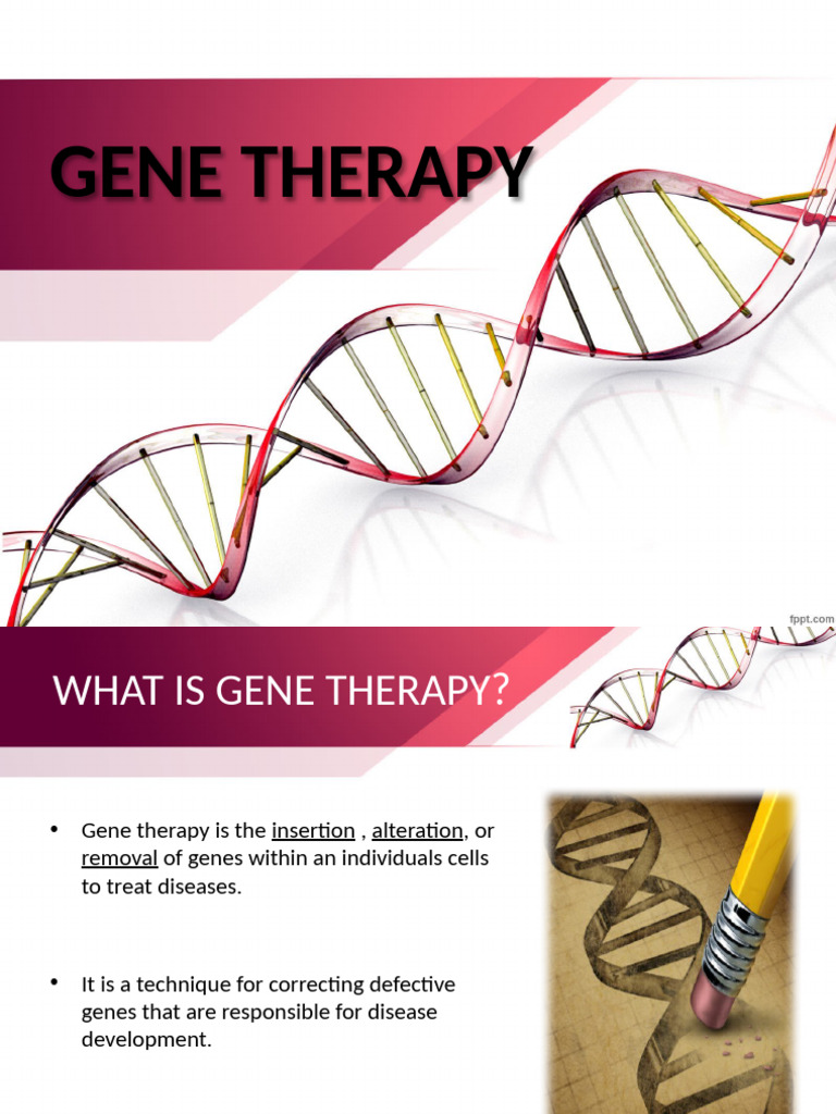 STS Gene Therapy | PDF | Gene Therapy | Gene