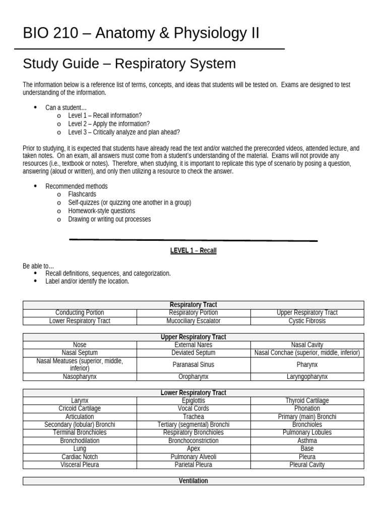 BIO 210 - Study Guide 06 - Respiratory System | PDF | Respiratory Tract ...