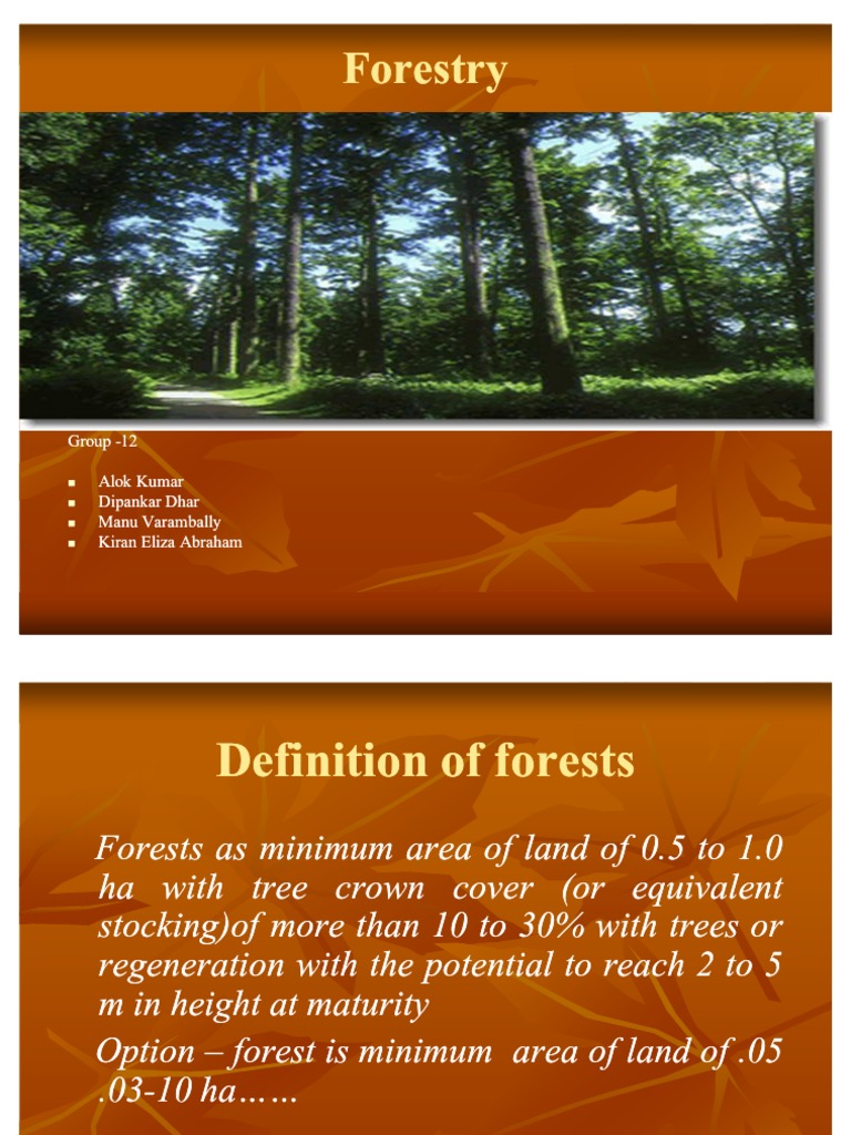 Forestry Presentation | PDF | Deforestation | Forests