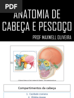 Anatomia dos Forames Cranianos | PDF | Sistema visual | Sistema nervoso