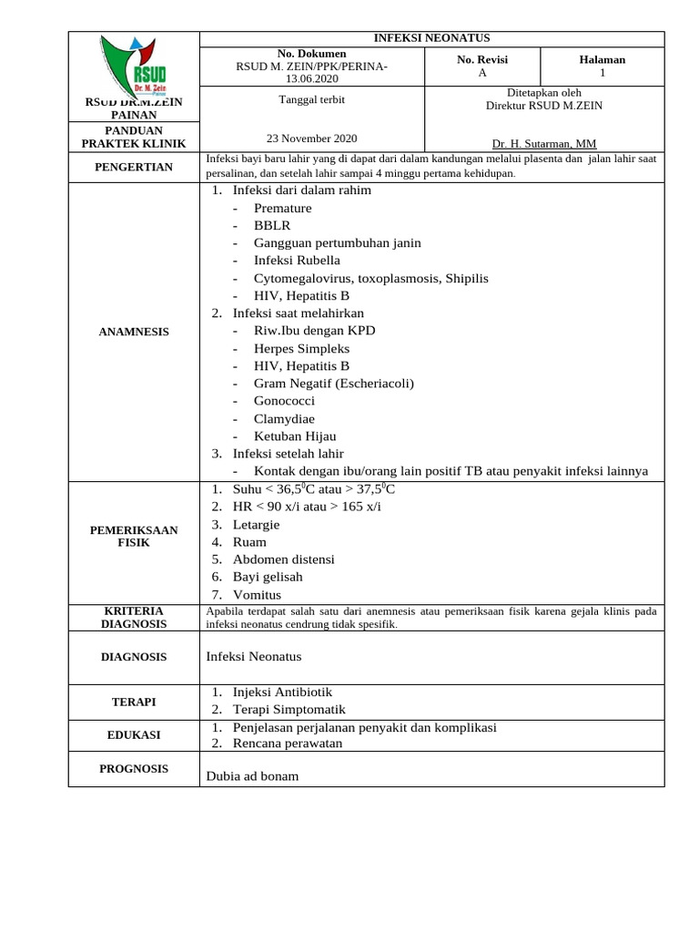 PPK Infeksi Neonatal | PDF