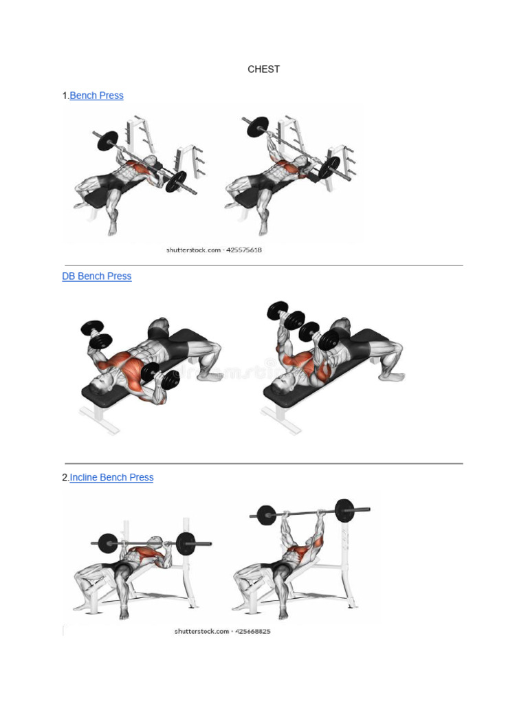 CHEST Exercises | PDF