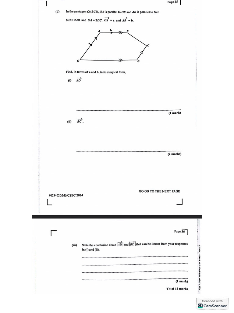 Vectors Worksheet | PDF