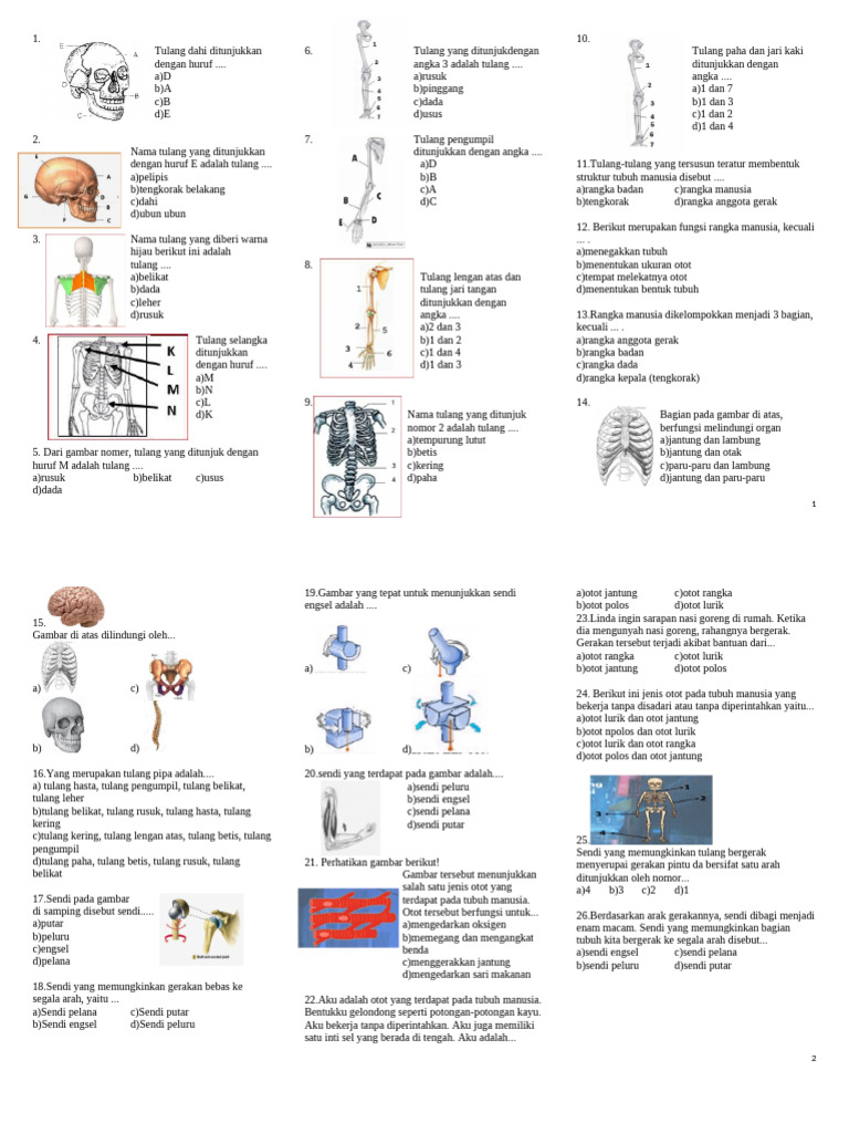 Soal Organ Gerak | PDF