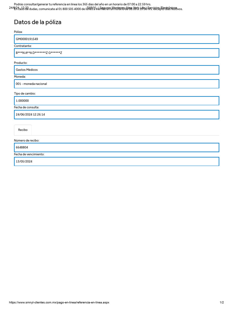 Referencia de Pago en Línea SMNYL | PDF | Servicios financieros ...