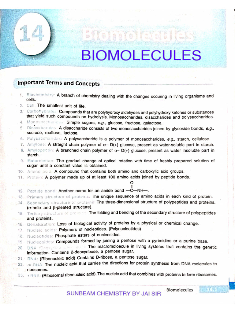 Biomolecules Sunbeam Chemistry Classes | PDF