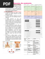 Anatomia do Sistema Venoso Ázigo | PDF | Fígado | Abdômen