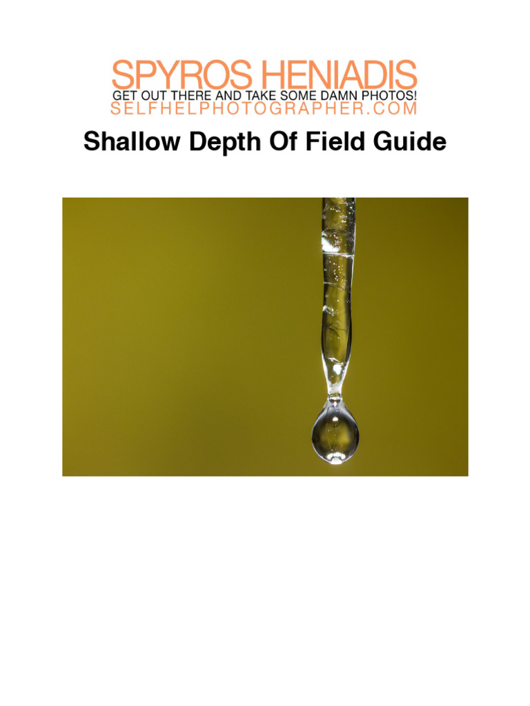 Mastering Shallow Depth of Field | PDF | Camera Lens | Aperture