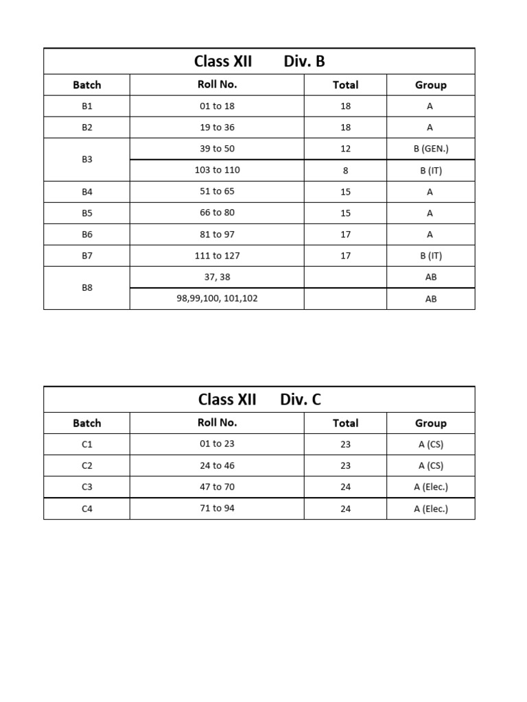Class XII Batch Group Summary | PDF
