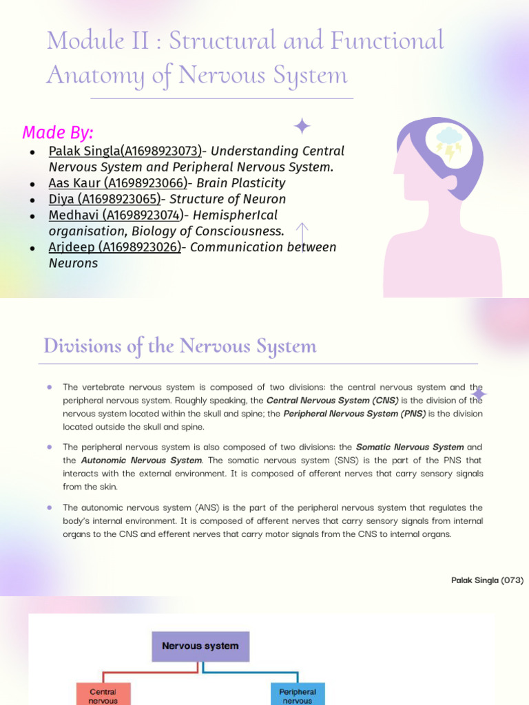 Physiological Ppt | PDF | Chemical Synapse | Synapse
