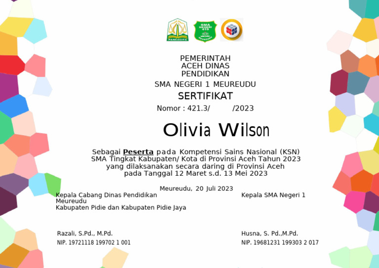 Blue Navy and Tosca Elegant Modern Medical Appreciation Certificate | PDF