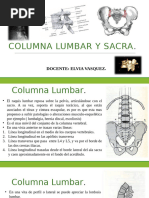 Articulaciones y Ligamentos de La Columna Vertebral | PDF