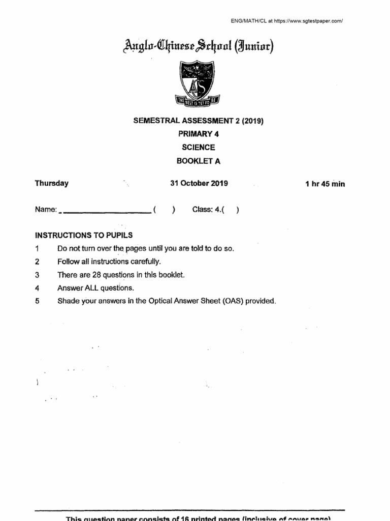 03 P4 Science SA2 2019 ACS Exam Papers Printed | PDF
