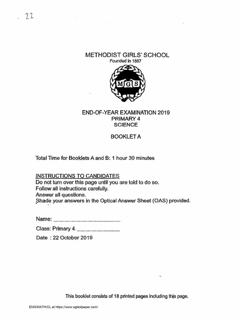 09 P4 - Science - SA2 - 2019 - MGS - Exam - Papers | PDF