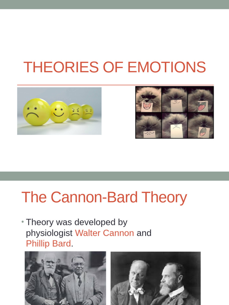 Theories of Emotions Explained | PDF