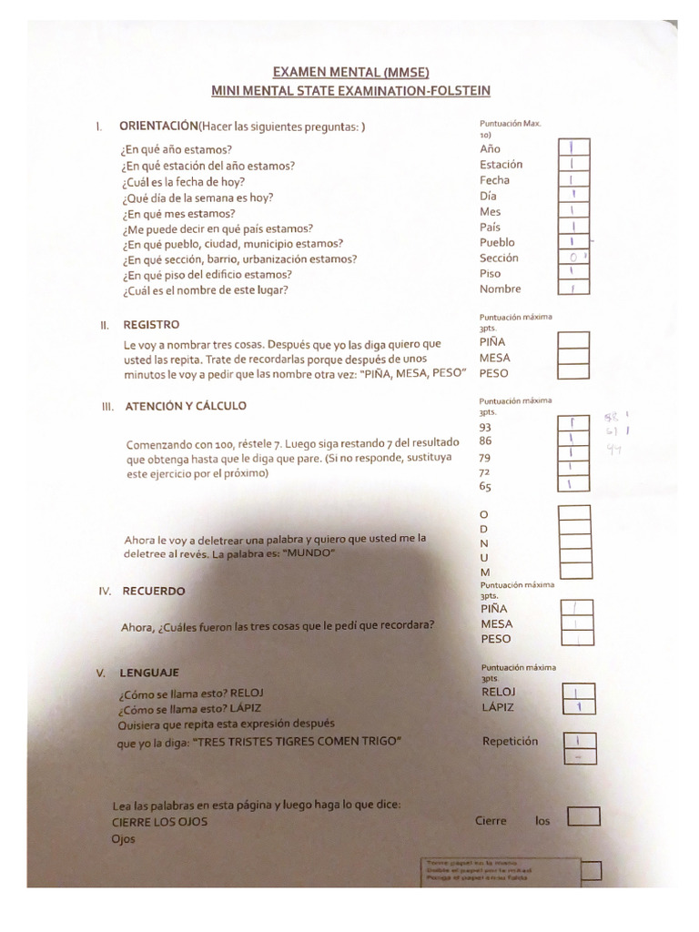 Examen Mental (Mmse) | PDF