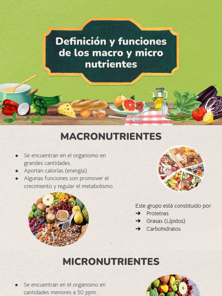 Macronutrientes y Micronutrientes Esenciales | PDF | Nutrientes | Alimentos
