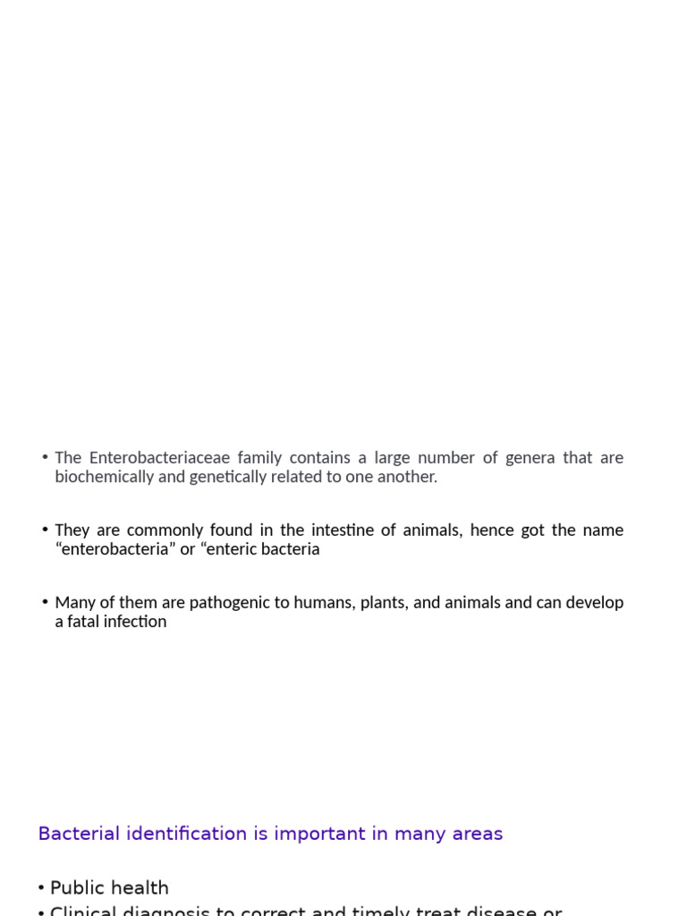 Biochemical Identification of Enterobacteriaceae | PDF | Bacteria ...