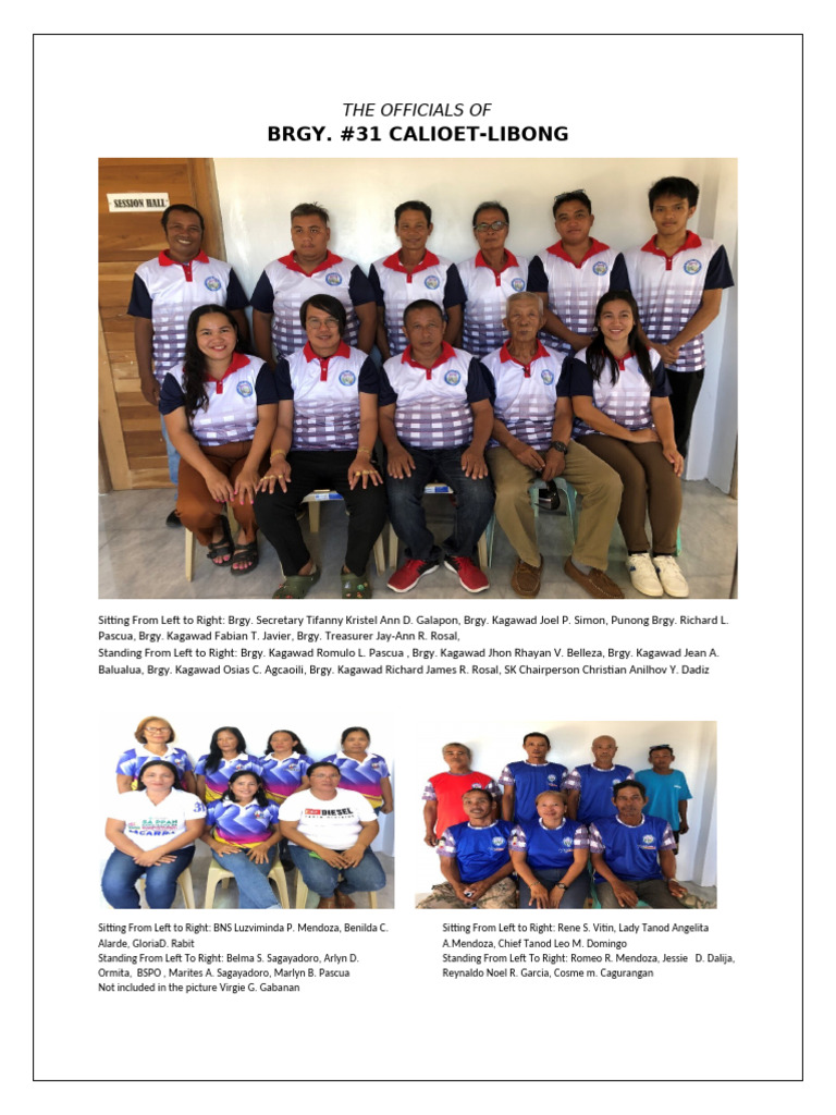 barangay profile pic | PDF