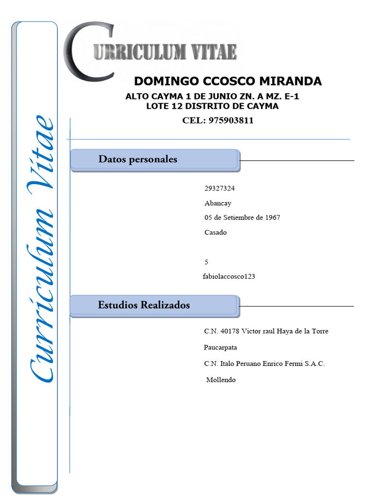 CV - 2025 | PDF | Información