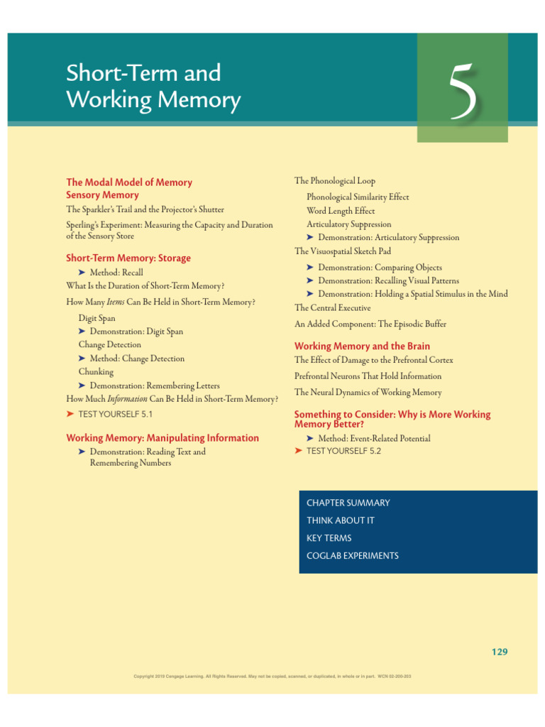 Chapter 5 - Short-Term and Working Memory | PDF | Memory | Working Memory