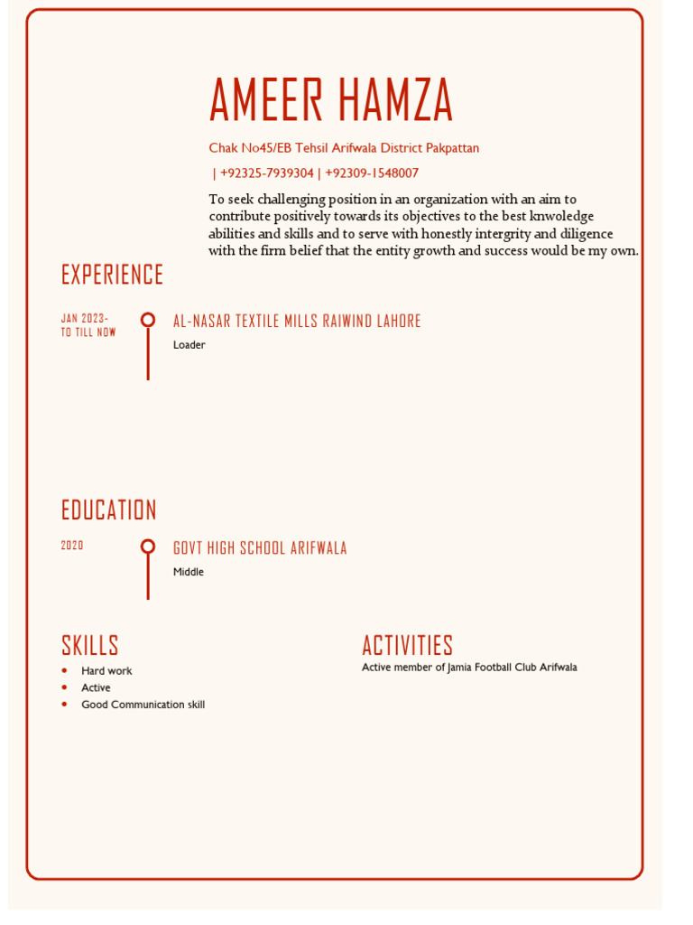 Ameer hamza CV PDF | PDF