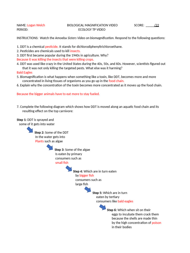 DDT and Biomagnification Effects | PDF | Ddt | Environmental Science