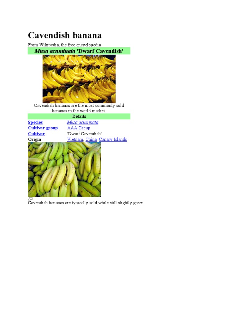 Cavendish Banana: Origin and Uses | PDF