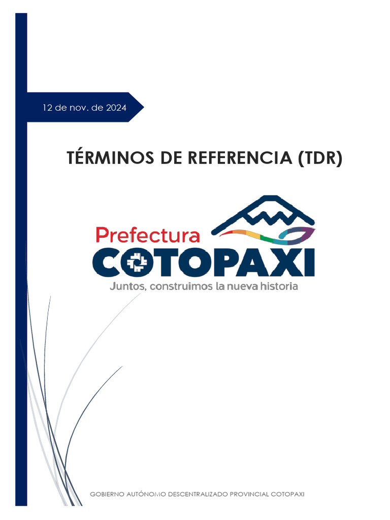 Términos de Referencia (TDR) | PDF | Presupuesto