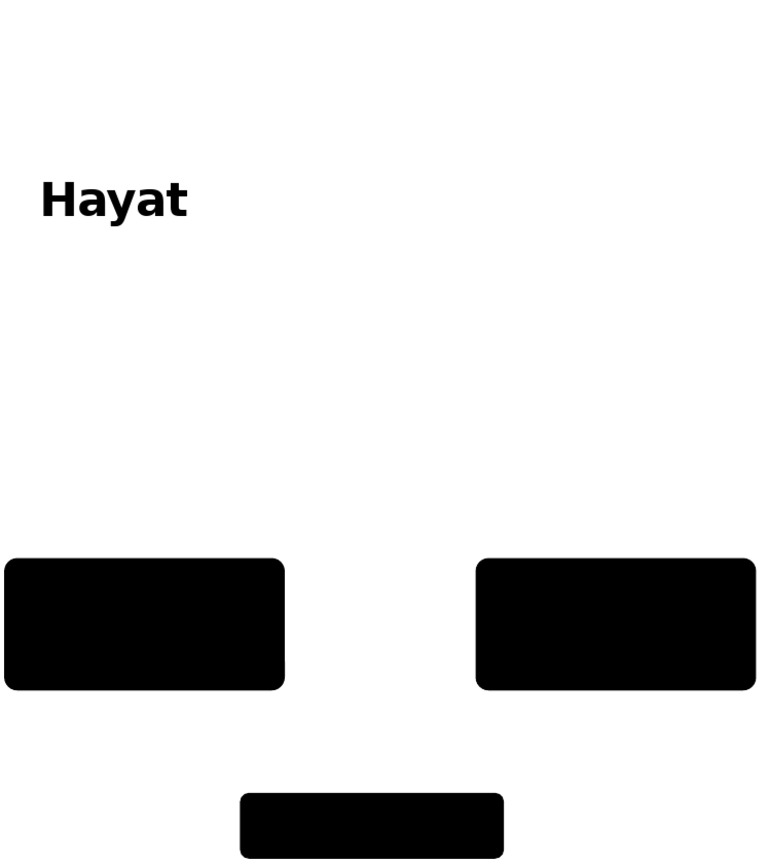 Hayat | PDF