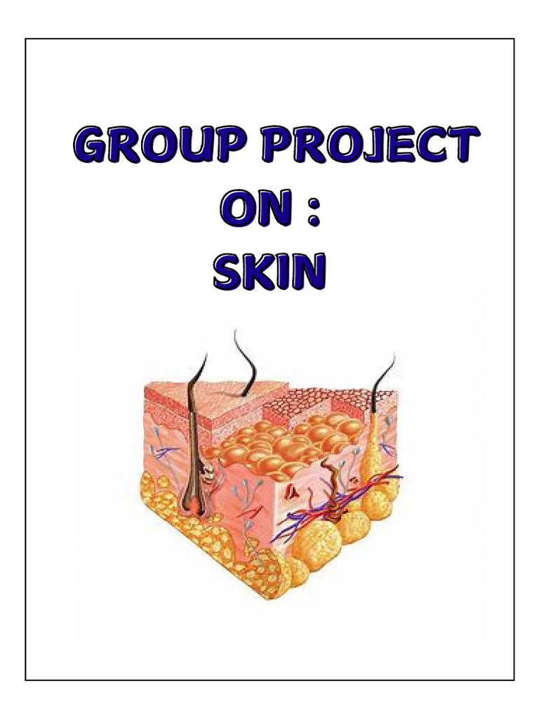 Project on skin | PDF | Skin | Epidermis