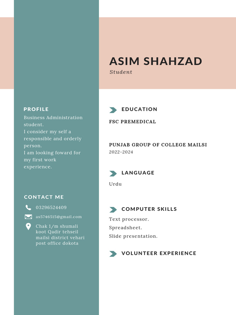 Asim ShahZAD | PDF