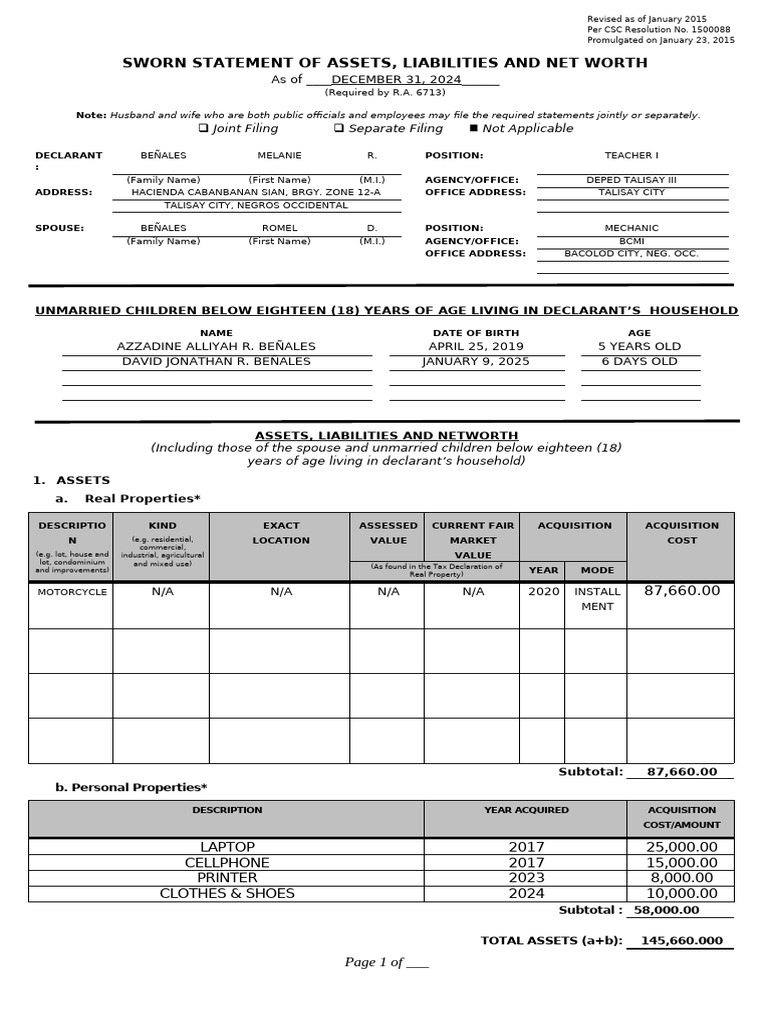 2015 SALN Form | PDF | Economies | Business Economics