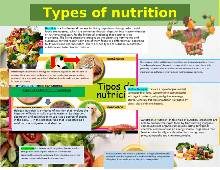 Types of nutrition | PDF | Nutrition | Diet & Nutrition