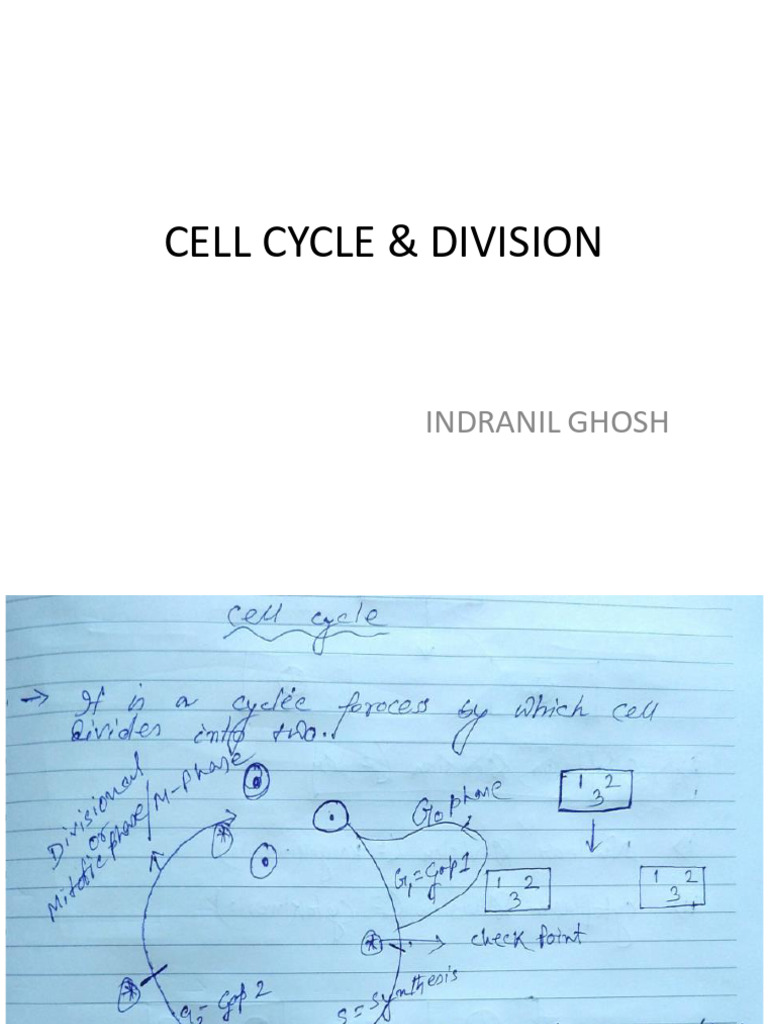 Understanding Cell Cycle and Division | PDF