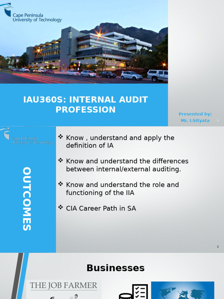 Understanding Internal Auditing Basics | PDF | Internal Audit | Audit