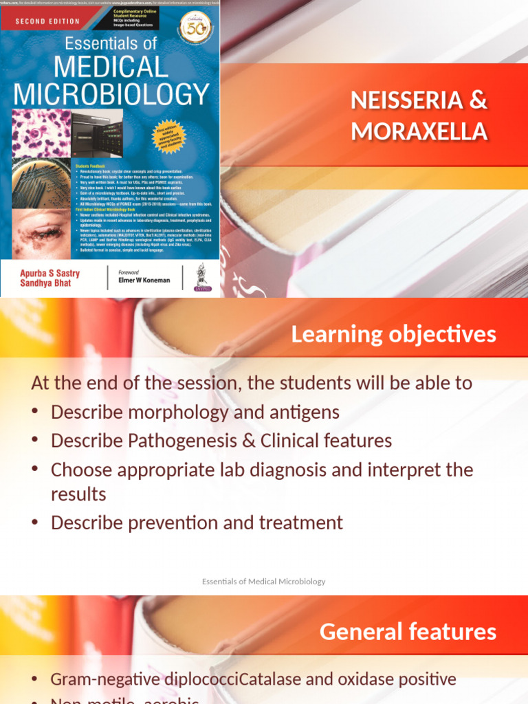 Neisseria and Moraxella | PDF | Immunology | Medical Specialties