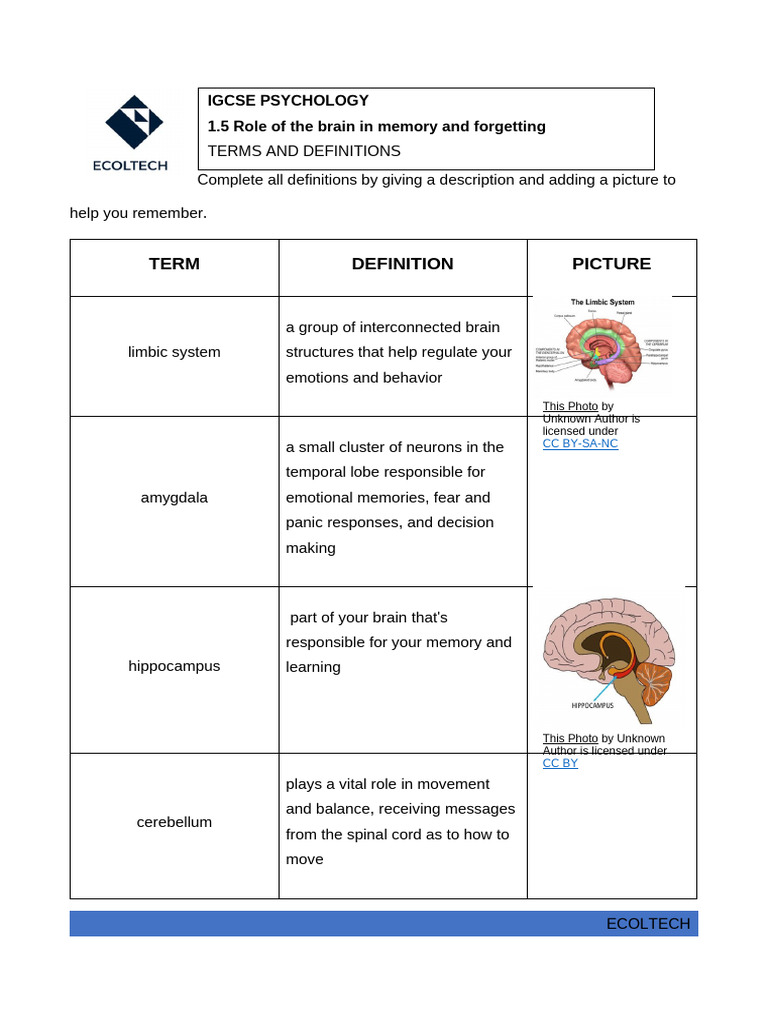TERMS AND DEFINITIONS 1.5 Role of The Brain in Memory and Forgetting | PDF